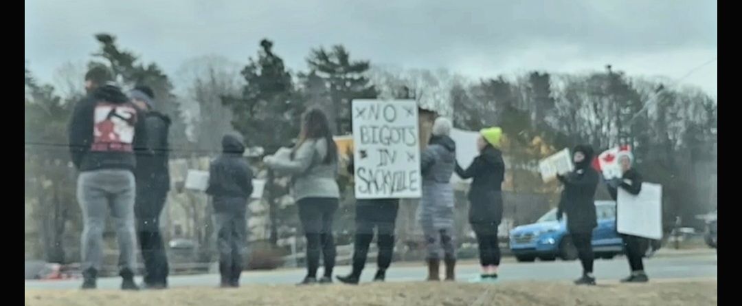 Are They Advocates? Are They Bullies? Are They Delusional? Advocates ...